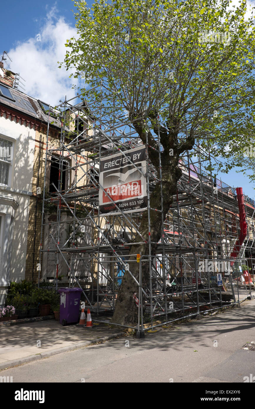 Scaffolding holding up front of House around Tree Stock Photo - Alamy