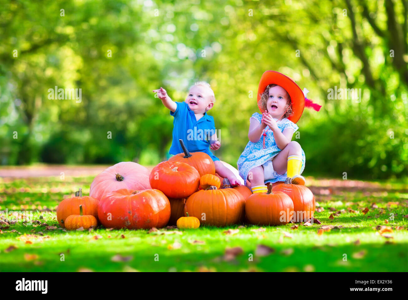 Kids playing at pumpkin patch at Halloween. Children play and pick ...