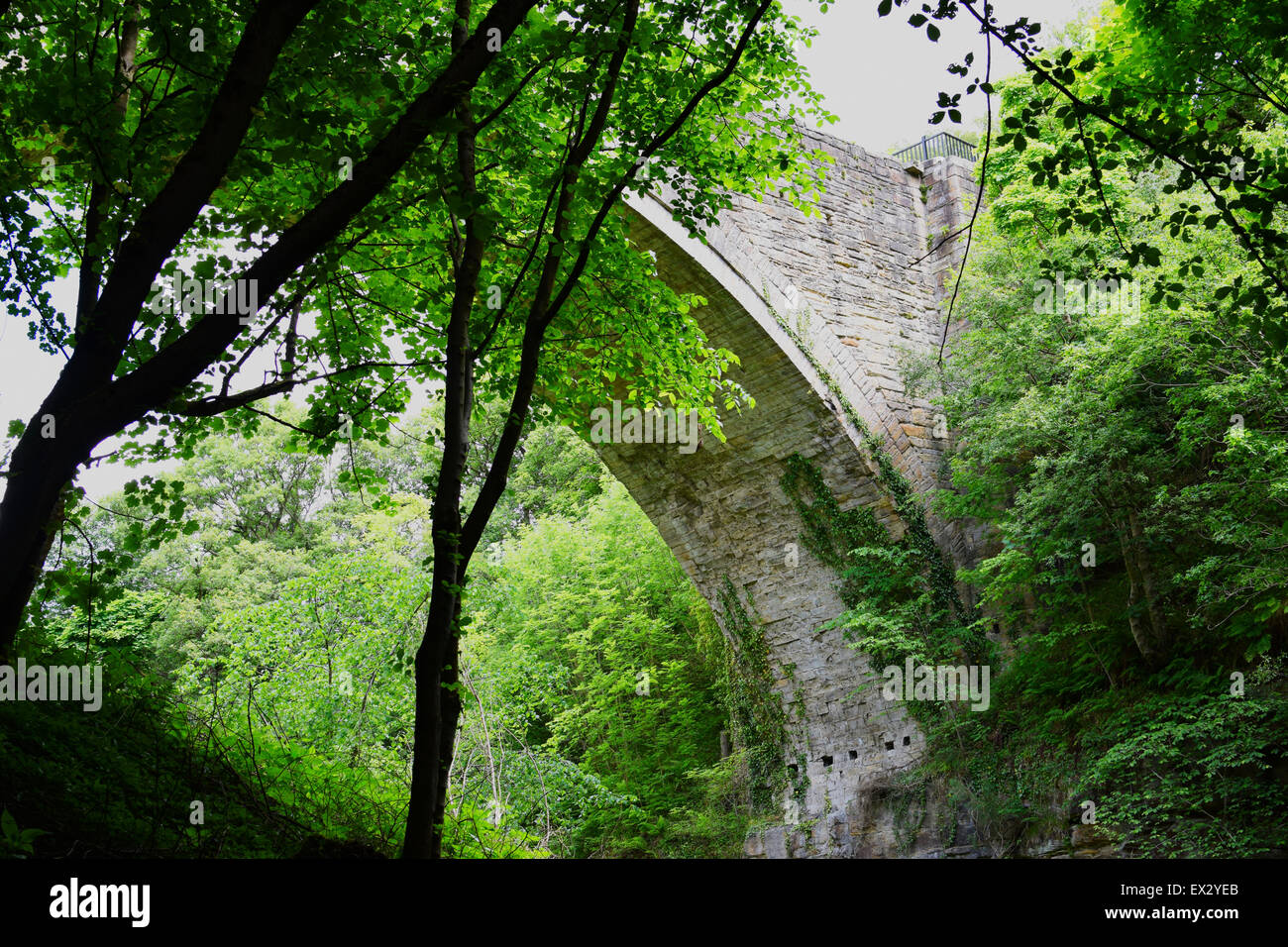 Tanfield railway causey arch hi-res stock photography and images - Alamy