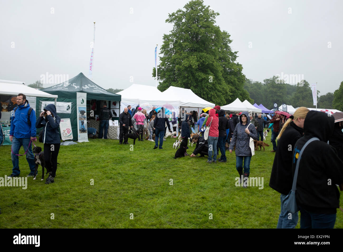 Wet windy hi-res stock photography and images - Alamy