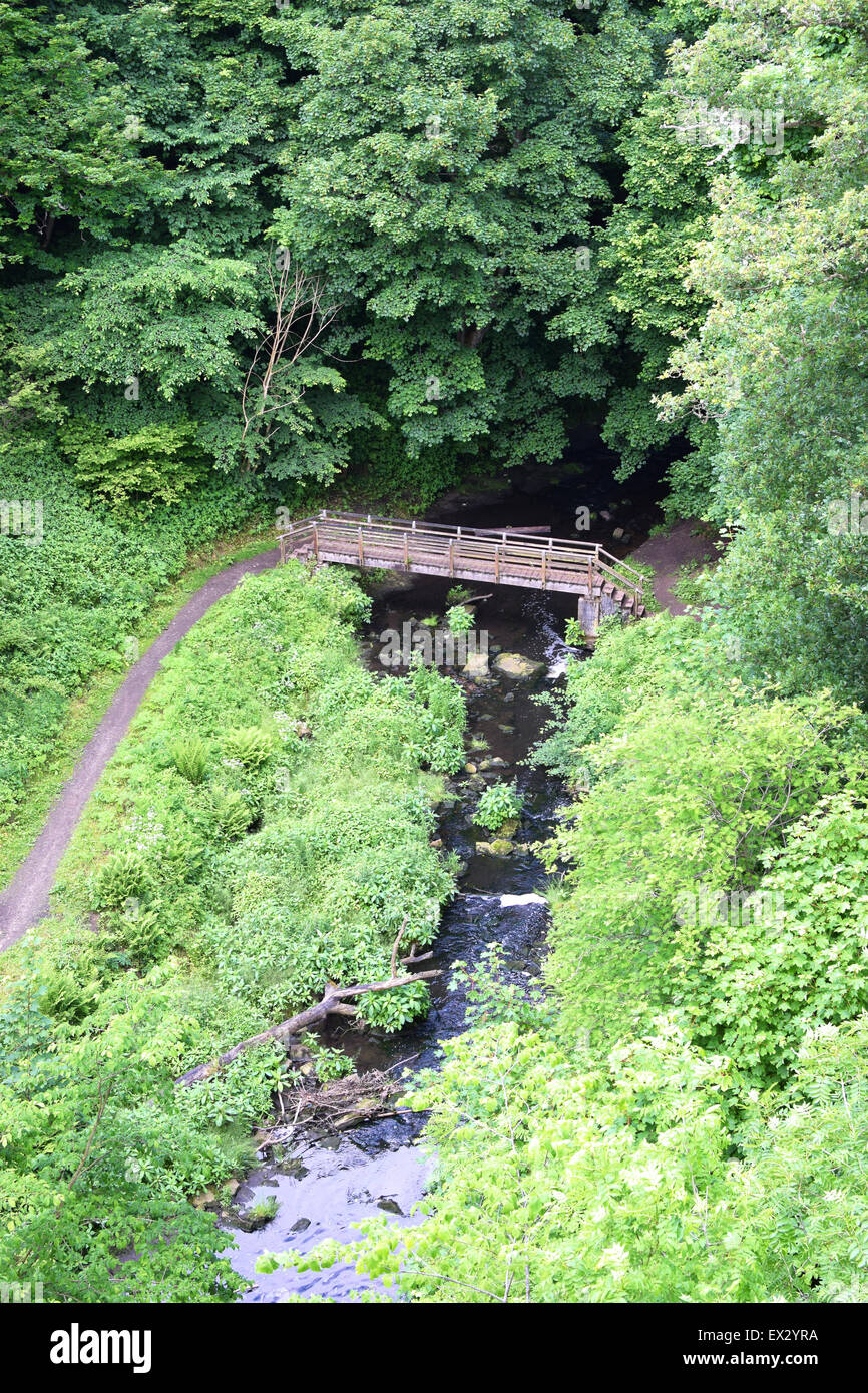 View from Causey Arch, the oldest surviving single arch railway bridge ...