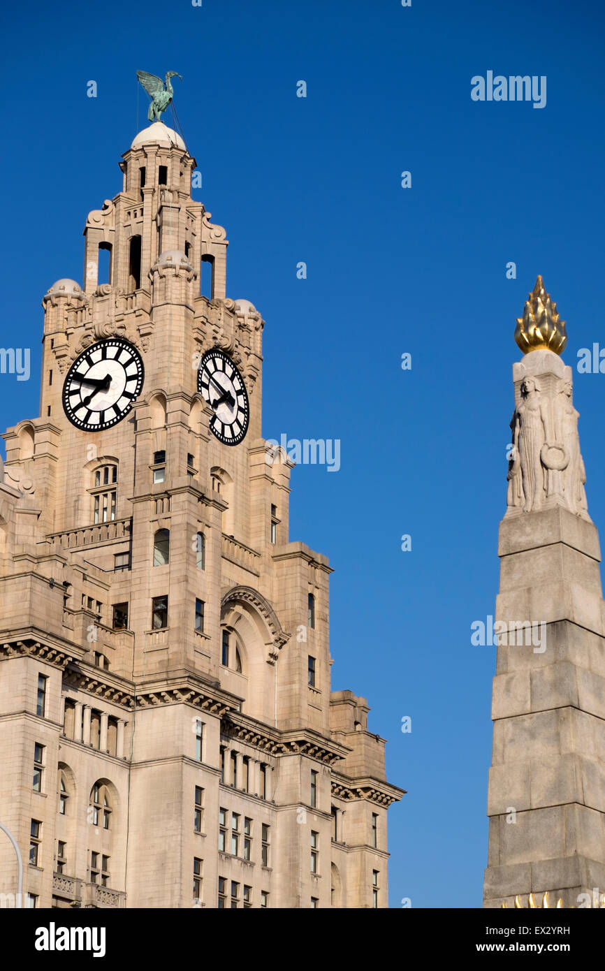 Royal Liver Building Clock Liverpool UK Sunny Blue Stock Photo - Alamy