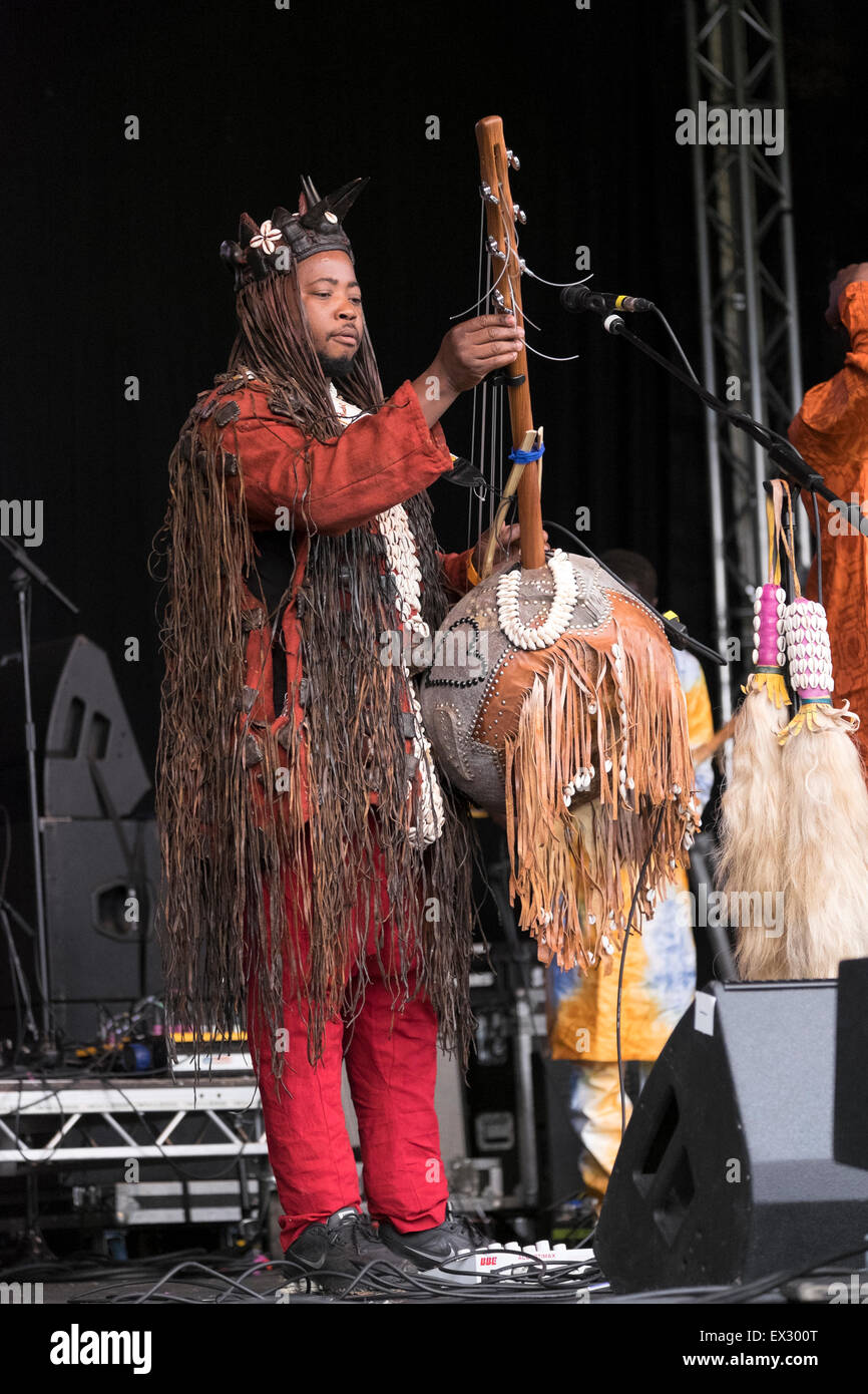 Traditional African Musical Instrument Stringed Playing Stock Photo - Alamy