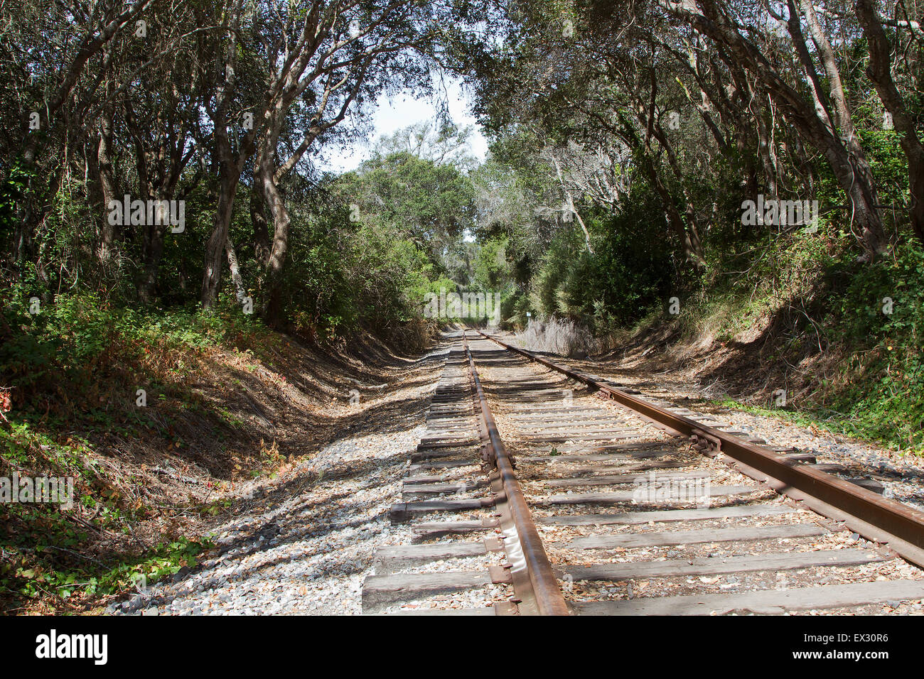 Abandoned rail road track in Capitola, California, USA Stock Photo - Alamy