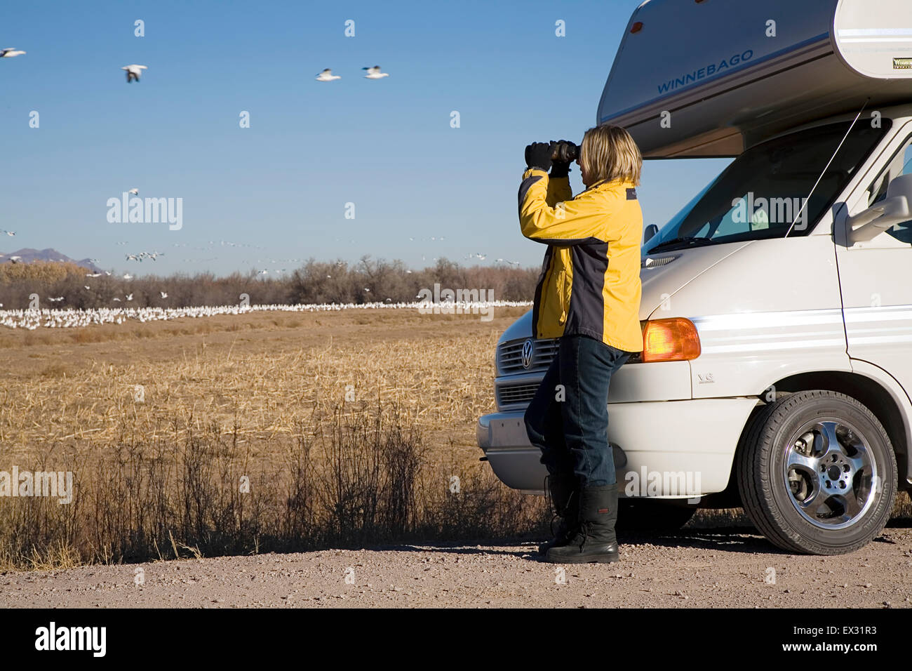Apache trail new mexico hi-res stock photography and images - Alamy