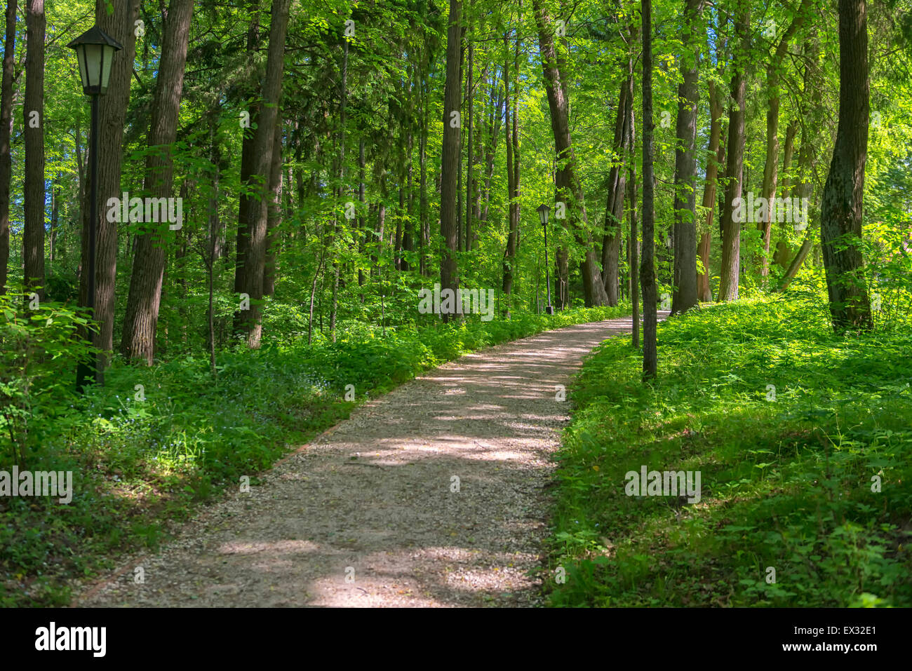 Slavophile hi-res stock photography and images - Alamy