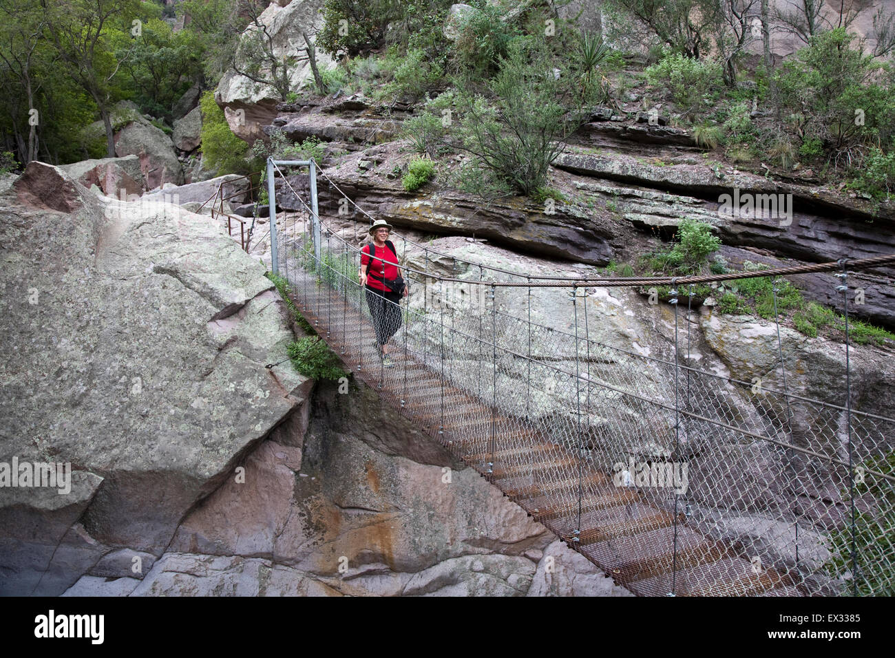 The Catwalk, a popular National Recreation Trail in the Gila National ...