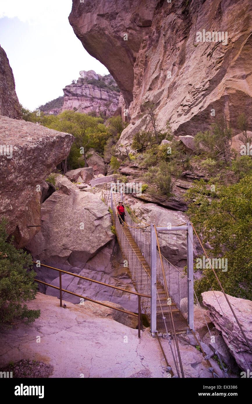 The Catwalk, a popular National Recreation Trail in the Gila National ...