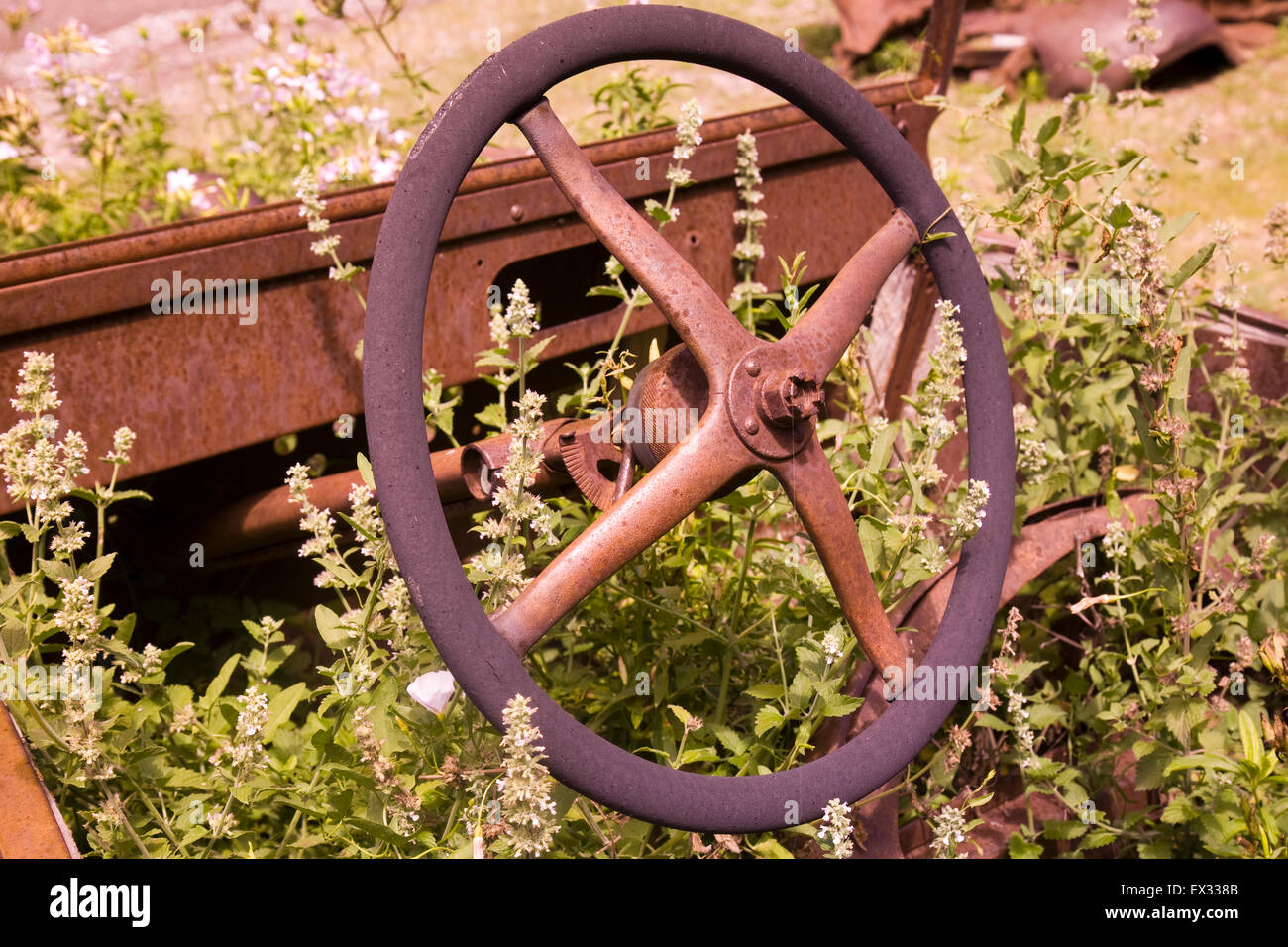 Relics of a long-past mining boom litter the main street of Mogollon ...