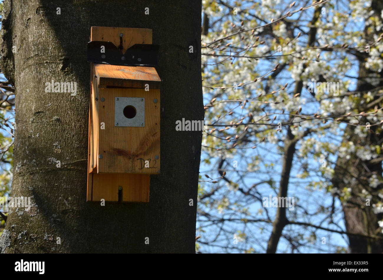 Bird box on a tree in Dalmuir Park, Dalmuir, Clydebank, Scotland Stock ...