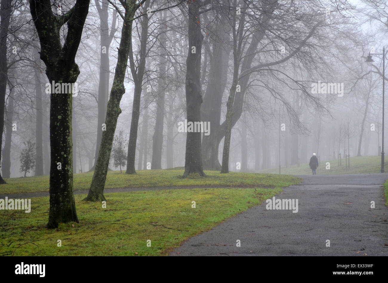 Misty morning winter walk in the park Stock Photo - Alamy
