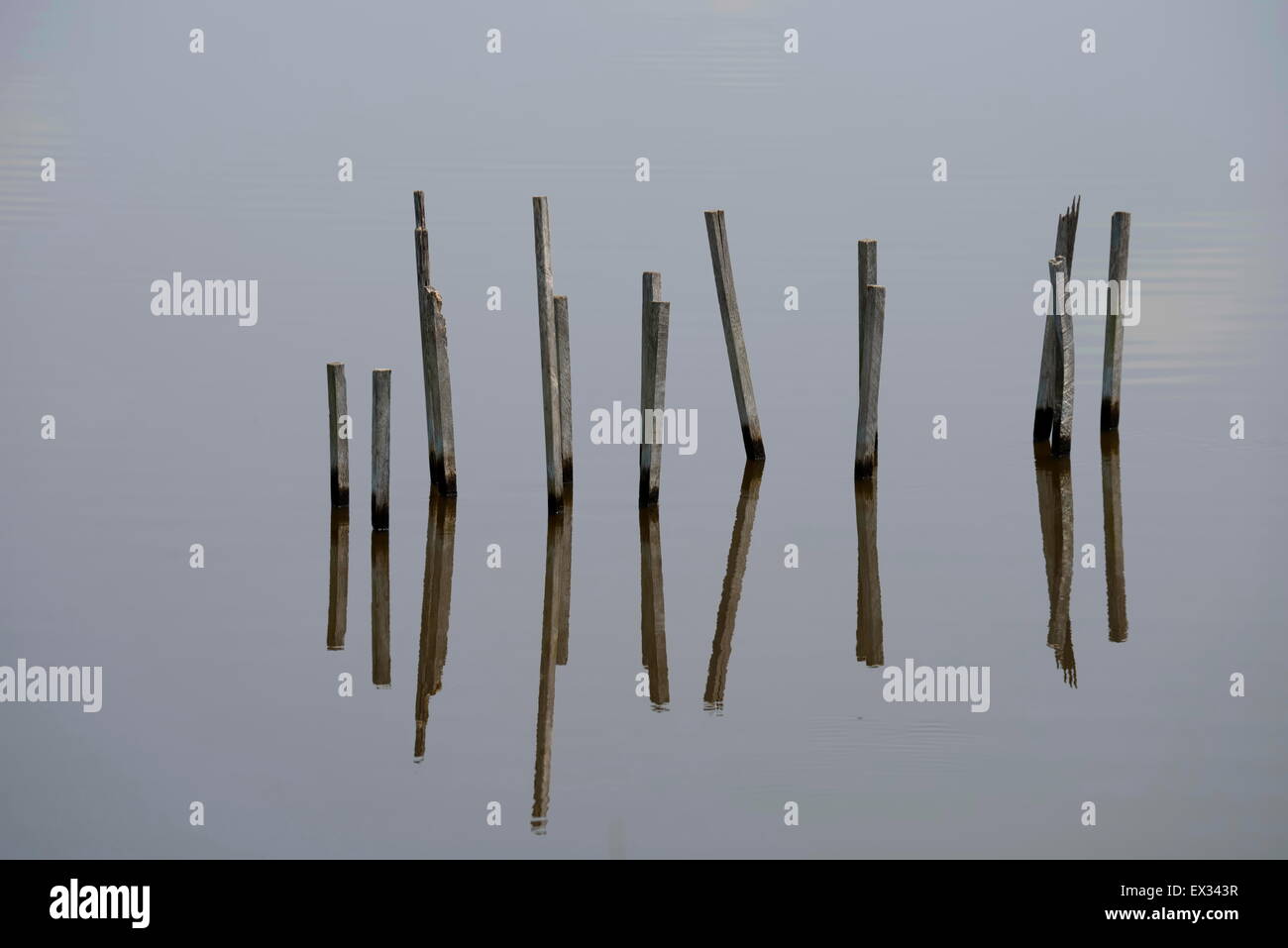 Wooden sticks reflect in glassy, still water, creating a meditative ...