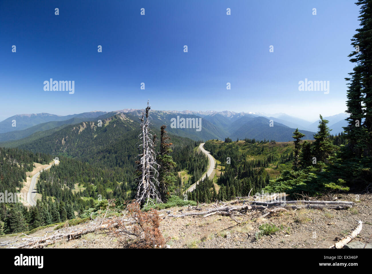 Hurricane Ridge view Stock Photo - Alamy
