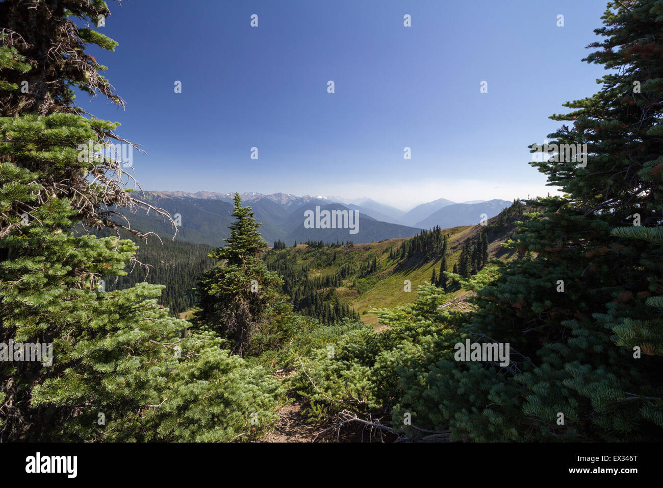 Hurricane Ridge Stock Photos & Hurricane Ridge Stock Images - Alamy