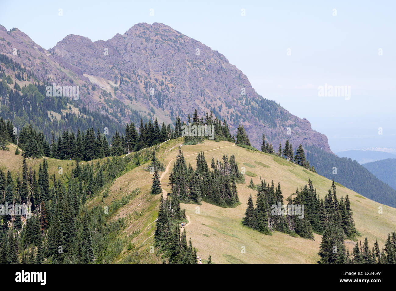 Hurricane Ridge view Stock Photo - Alamy