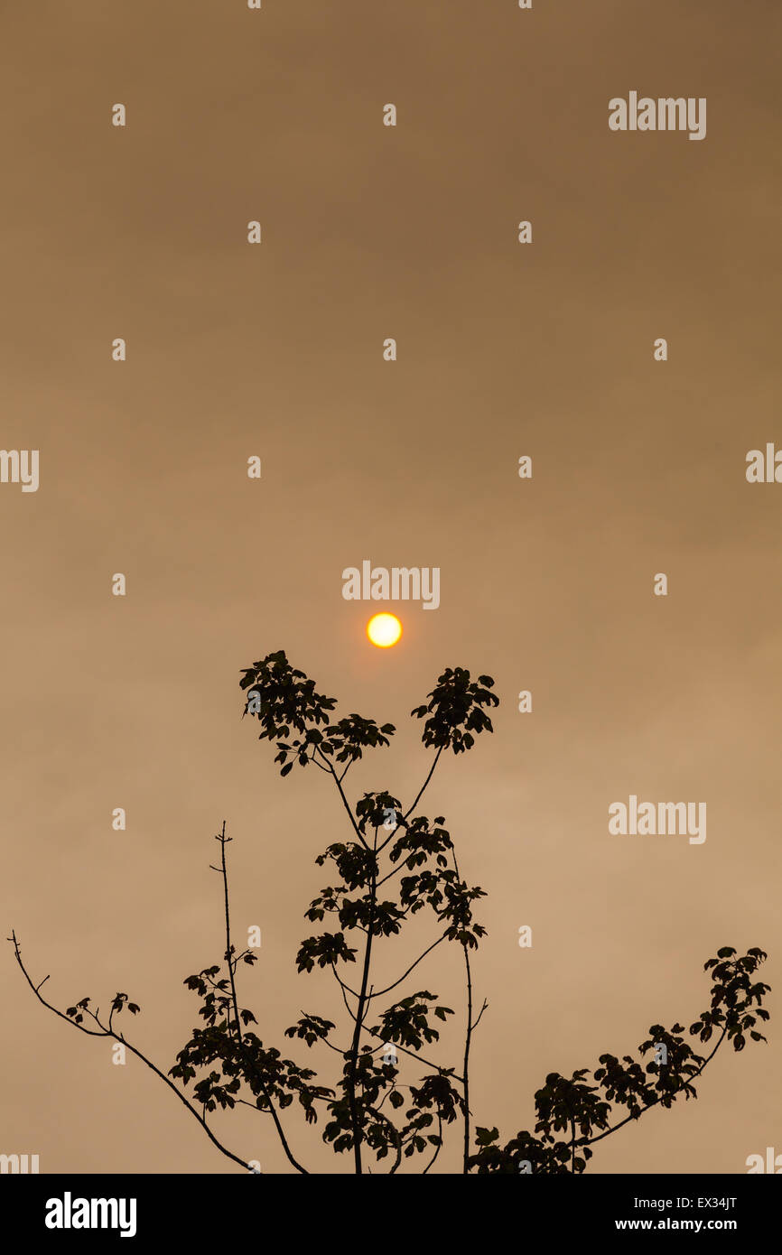 Sun shining through smoke hi-res stock photography and images - Alamy