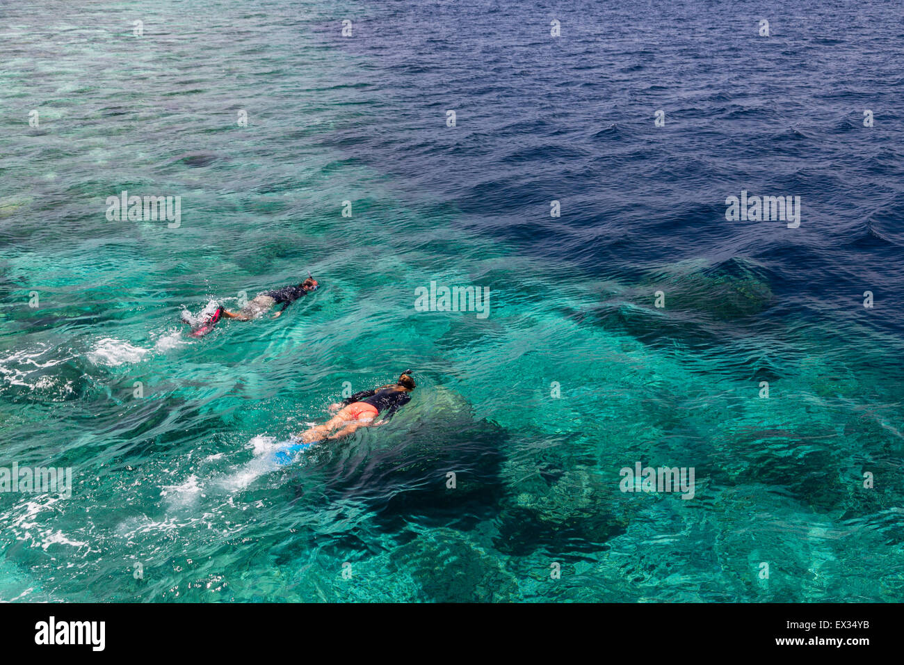 Two snorkelers explore a coral reef drop off in Bunaken National Park ...