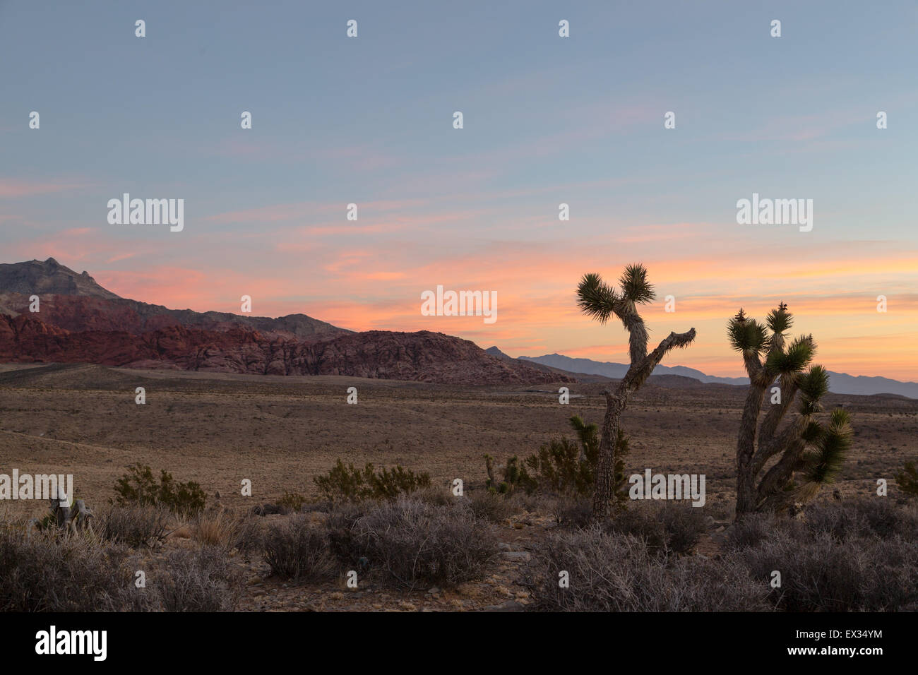 Pre-sunrise view of mountains and desert in Red Rock National ...