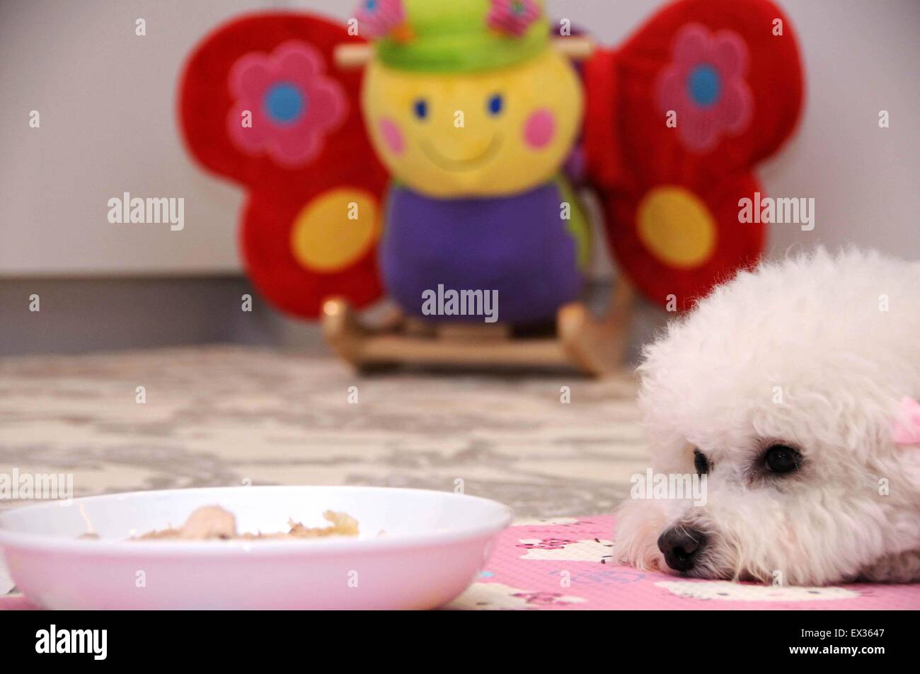 Chow time hi-res stock photography and images - Alamy