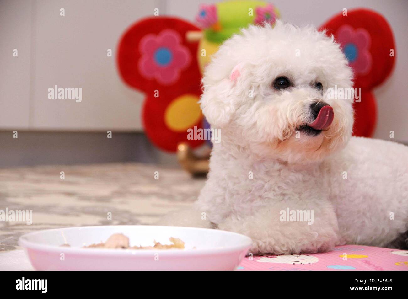 Chow time hi-res stock photography and images - Alamy