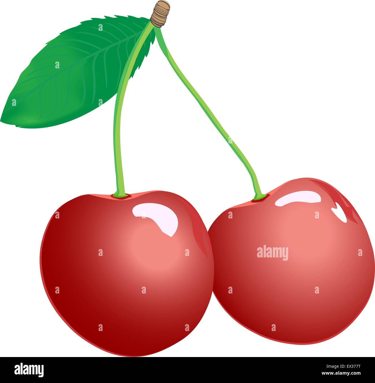 Wet cherries Stock Vector Images - Alamy
