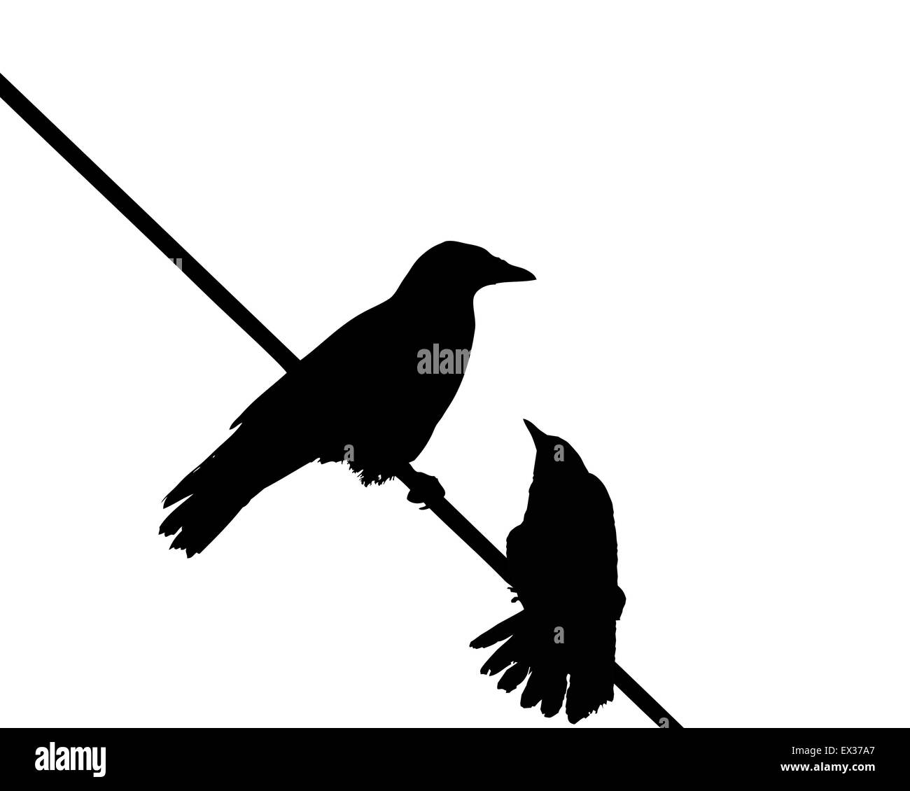 Crows graphics Cut Out Stock Images & Pictures - Alamy