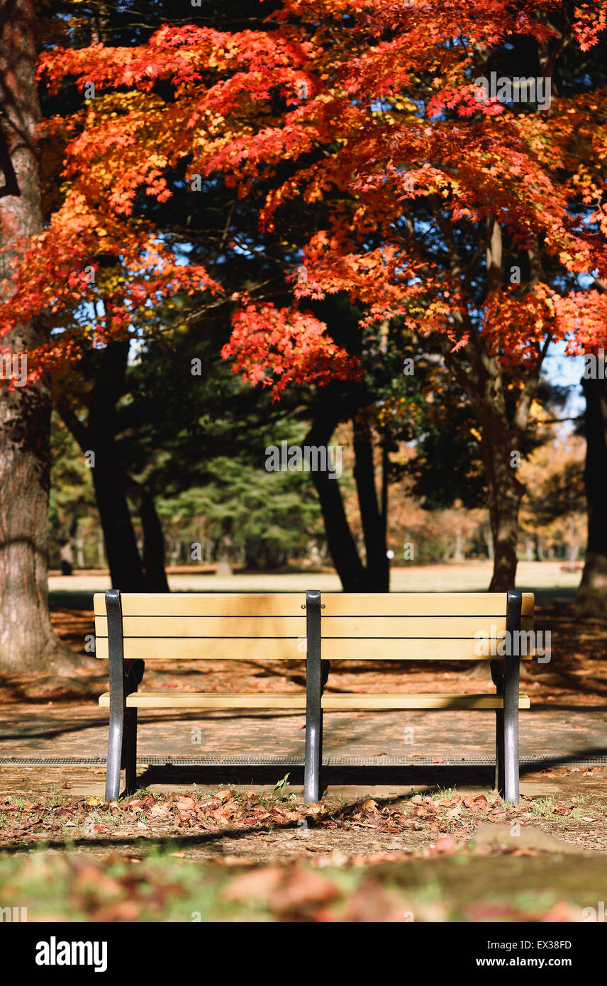 Bench in a city park in Autumn Stock Photo - Alamy