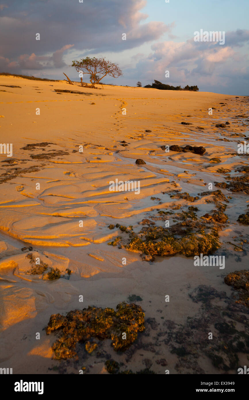 Landscape of sandy, rocky beach before sunset in Marosi, Lamboya, West ...