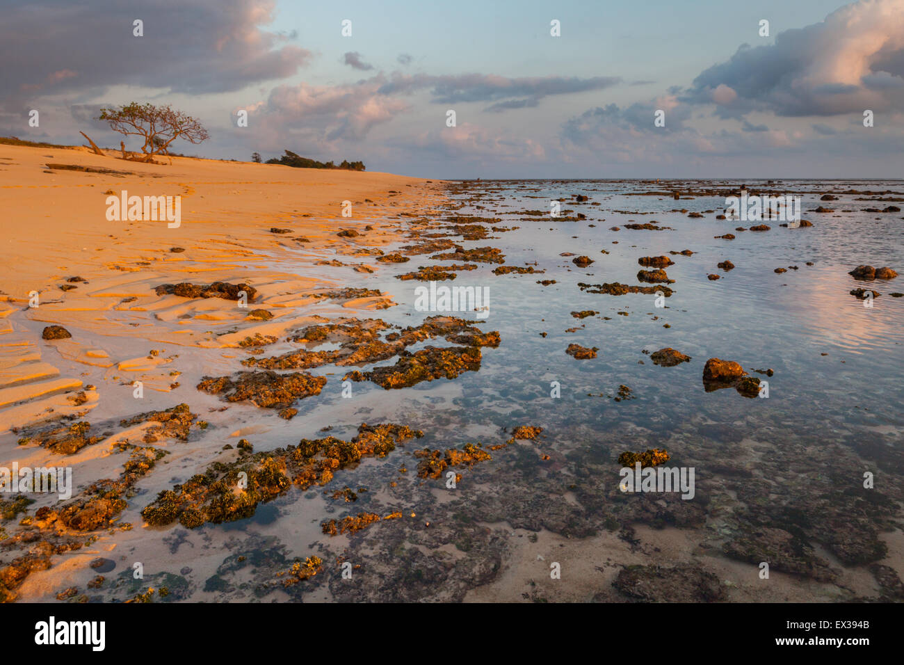 Rocky intertidal range next to sandy beach during low tide before ...