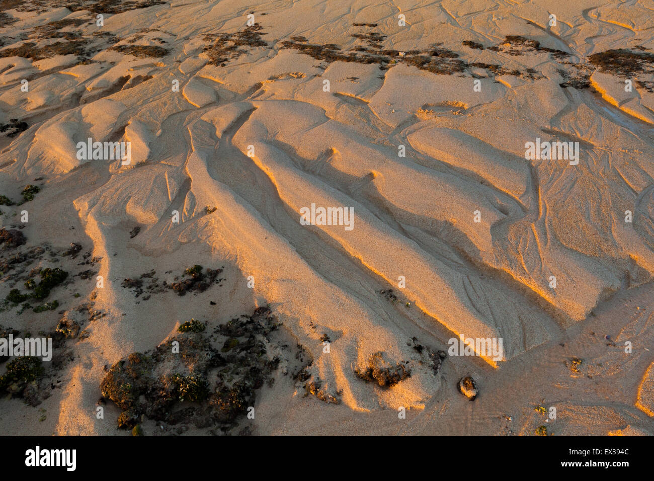 Seawater traces on sandy beach Stock Photo - Alamy