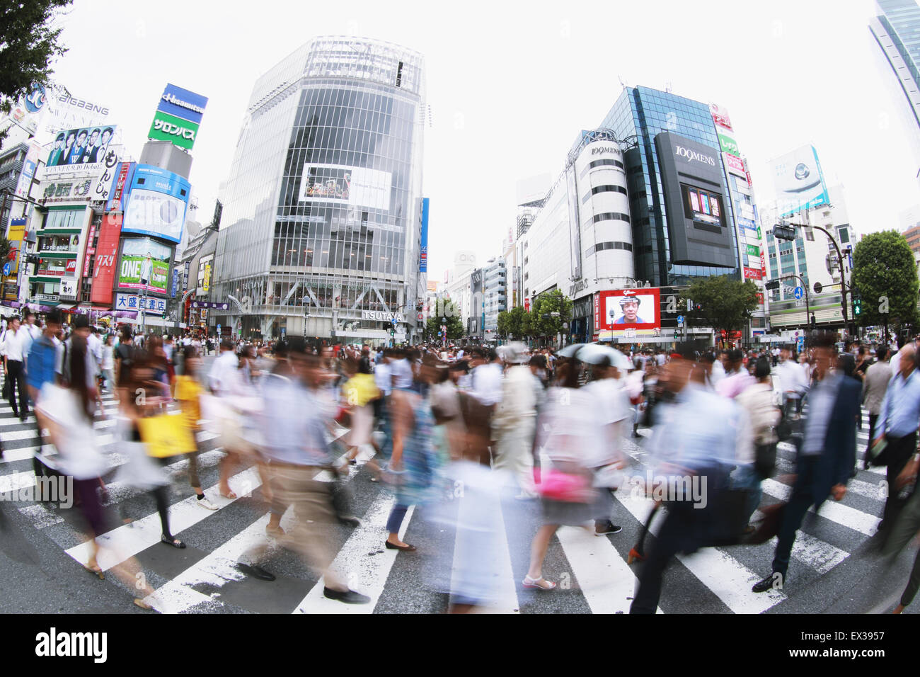 Crowd walking at Shibuya scramble crossing, Tokyo, Japan Stock Photo ...