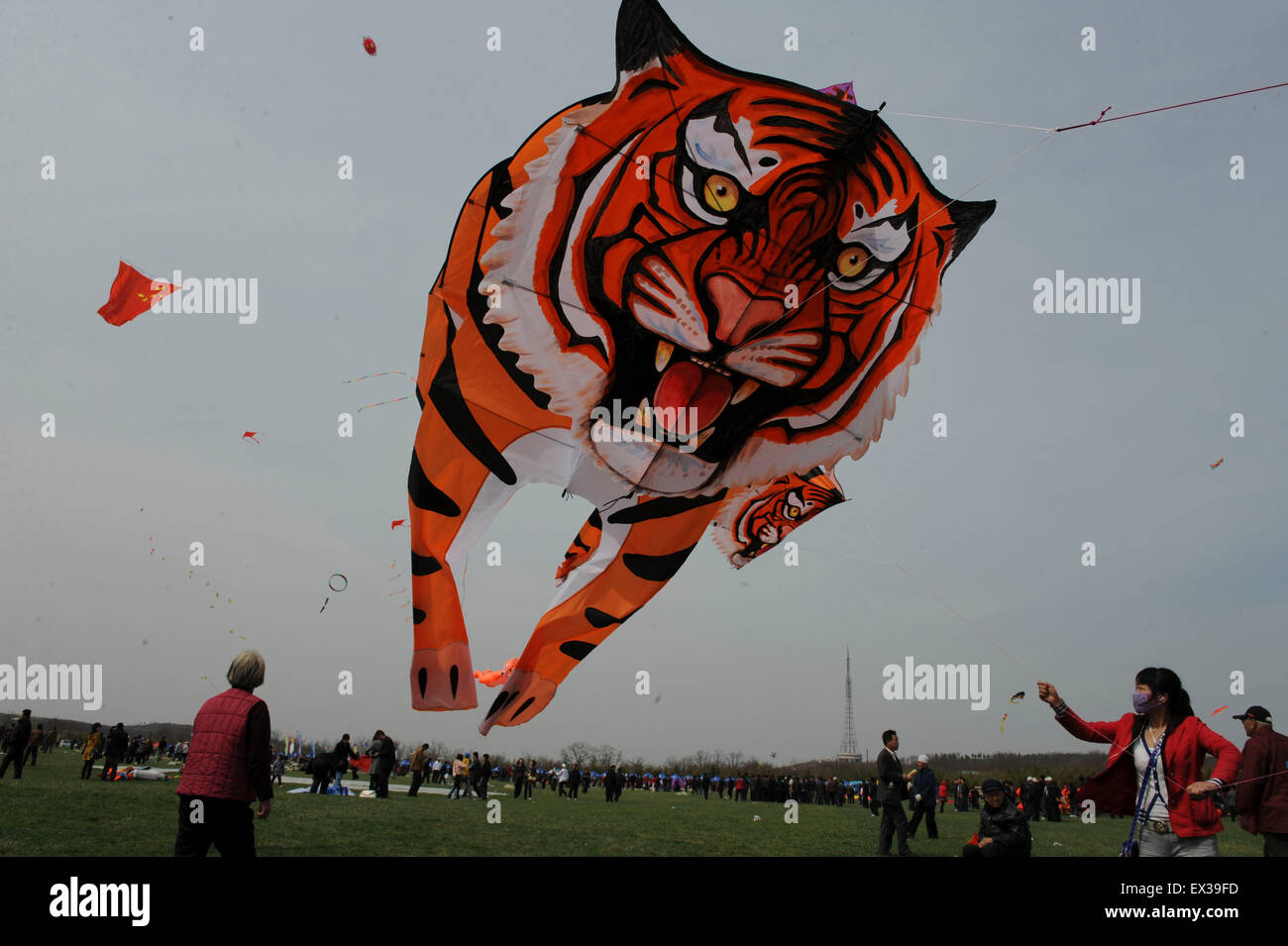 A kite featuring a tiger flies in the sky during the 6th International ...