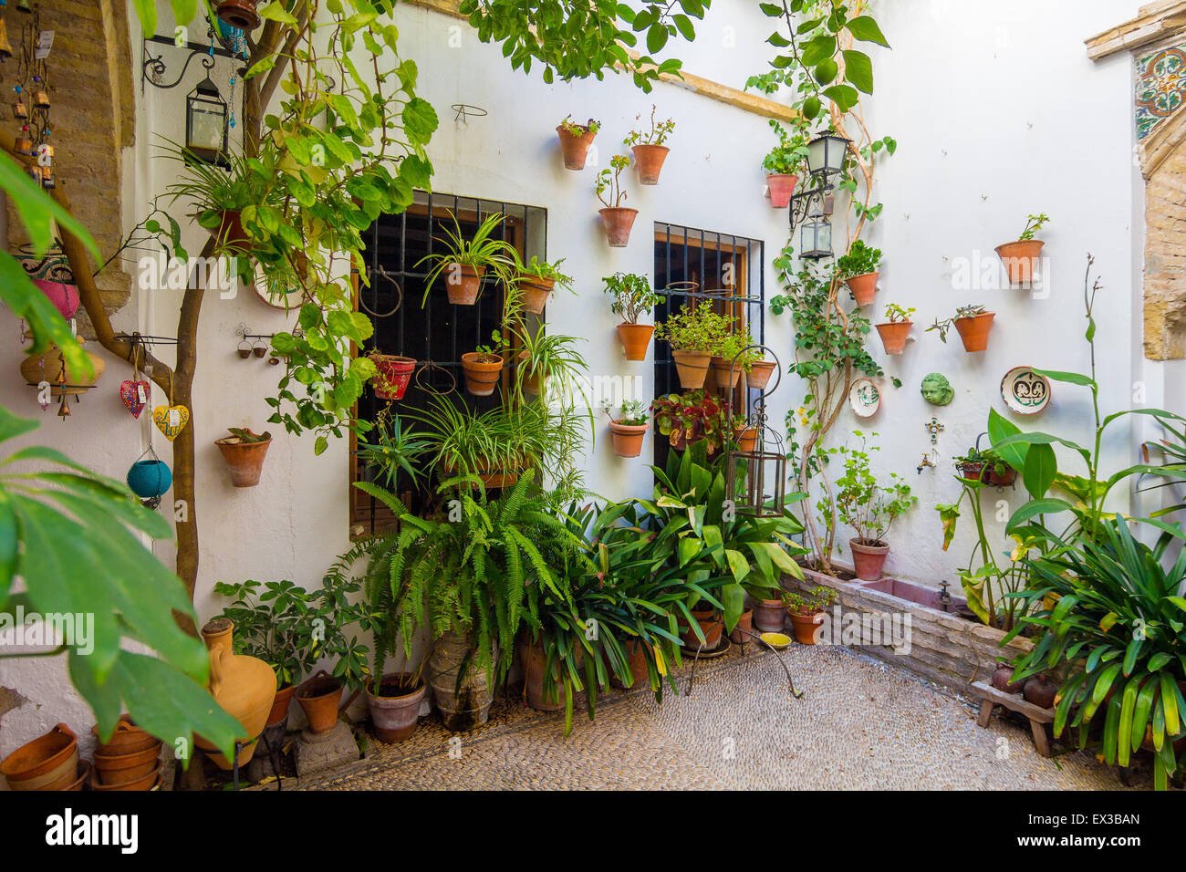 typical Andalusian courtyard decorated with flowers in the city of ...