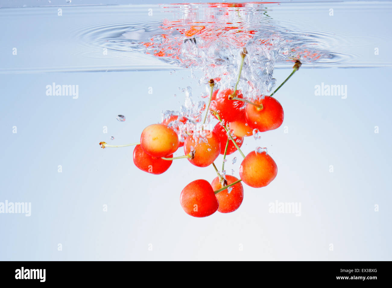Cherries in water Stock Photo - Alamy