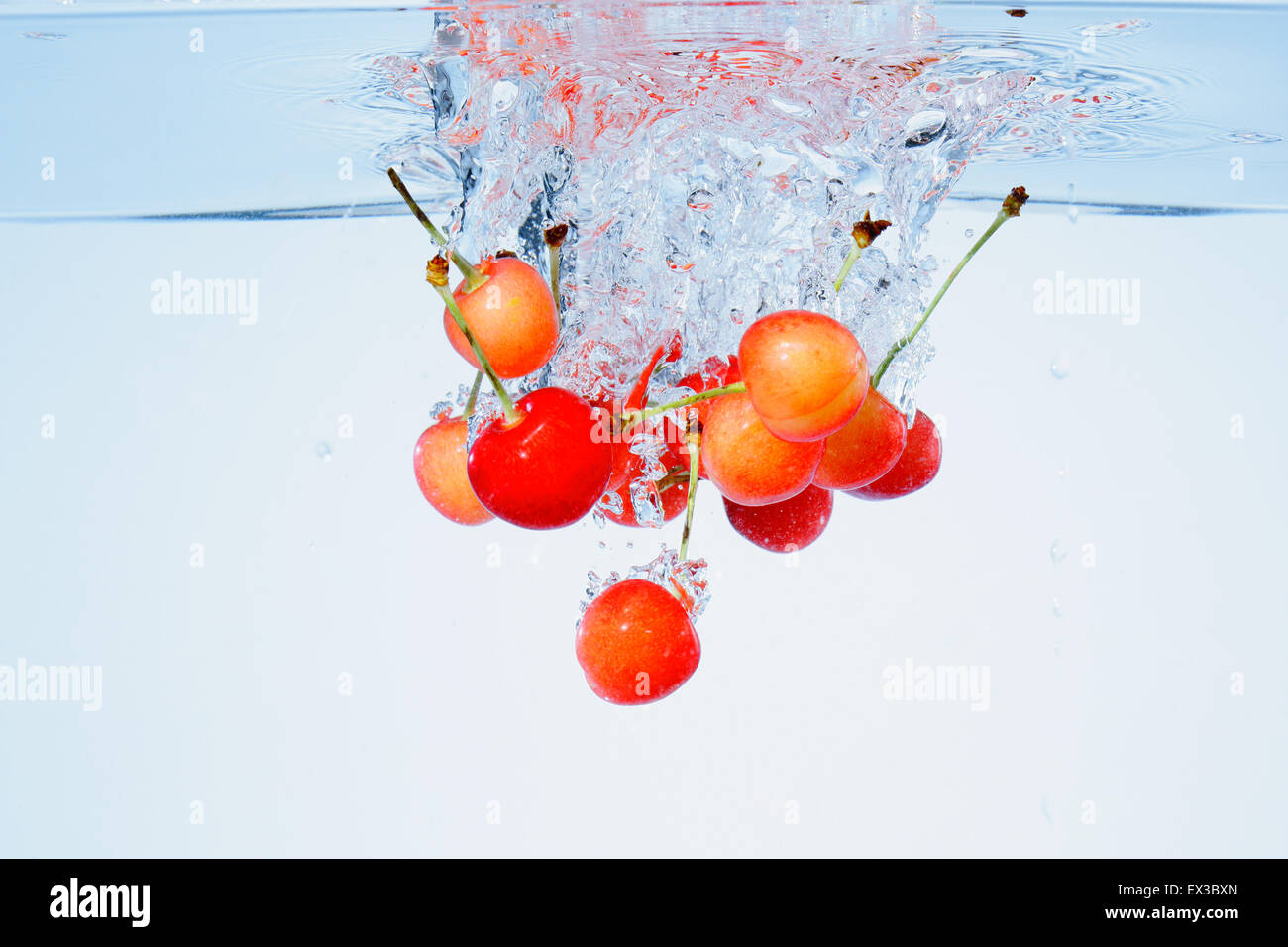 Cherries in water Stock Photo - Alamy