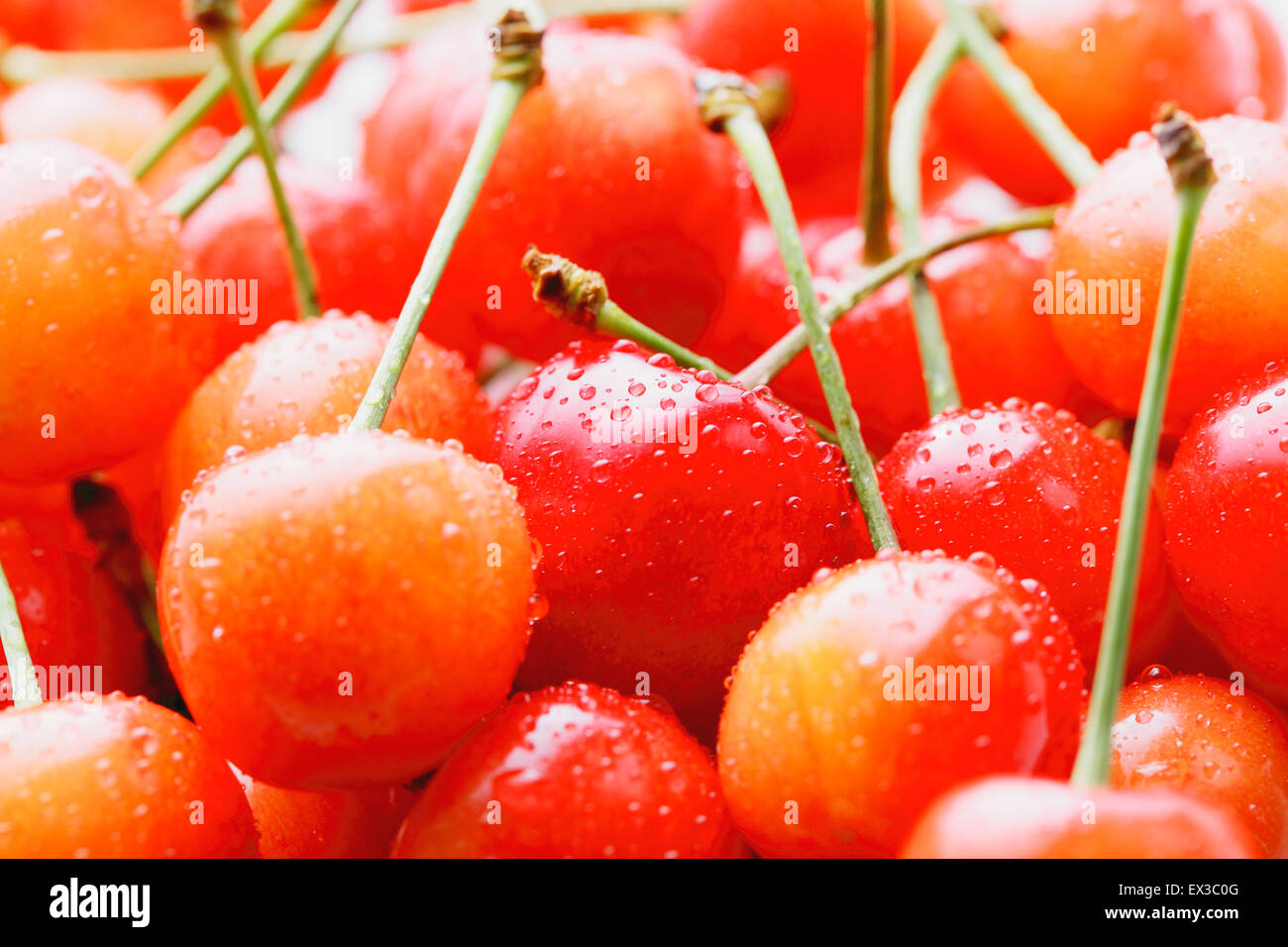Cherries background hi-res stock photography and images - Alamy