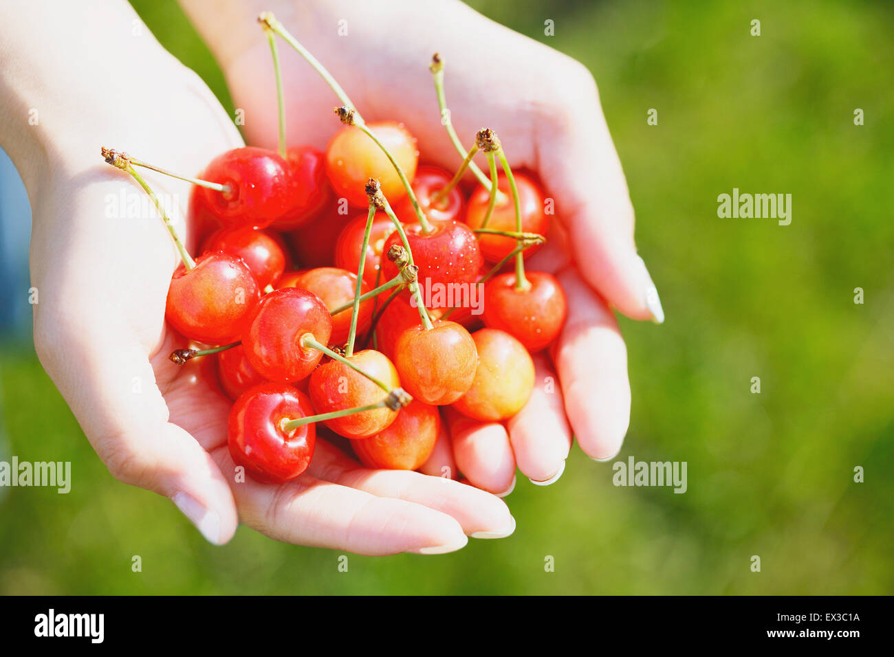 Body part hands hi-res stock photography and images - Alamy