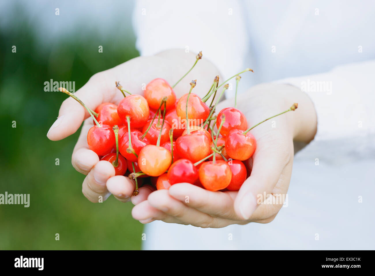 Hands part of the body hi-res stock photography and images - Alamy