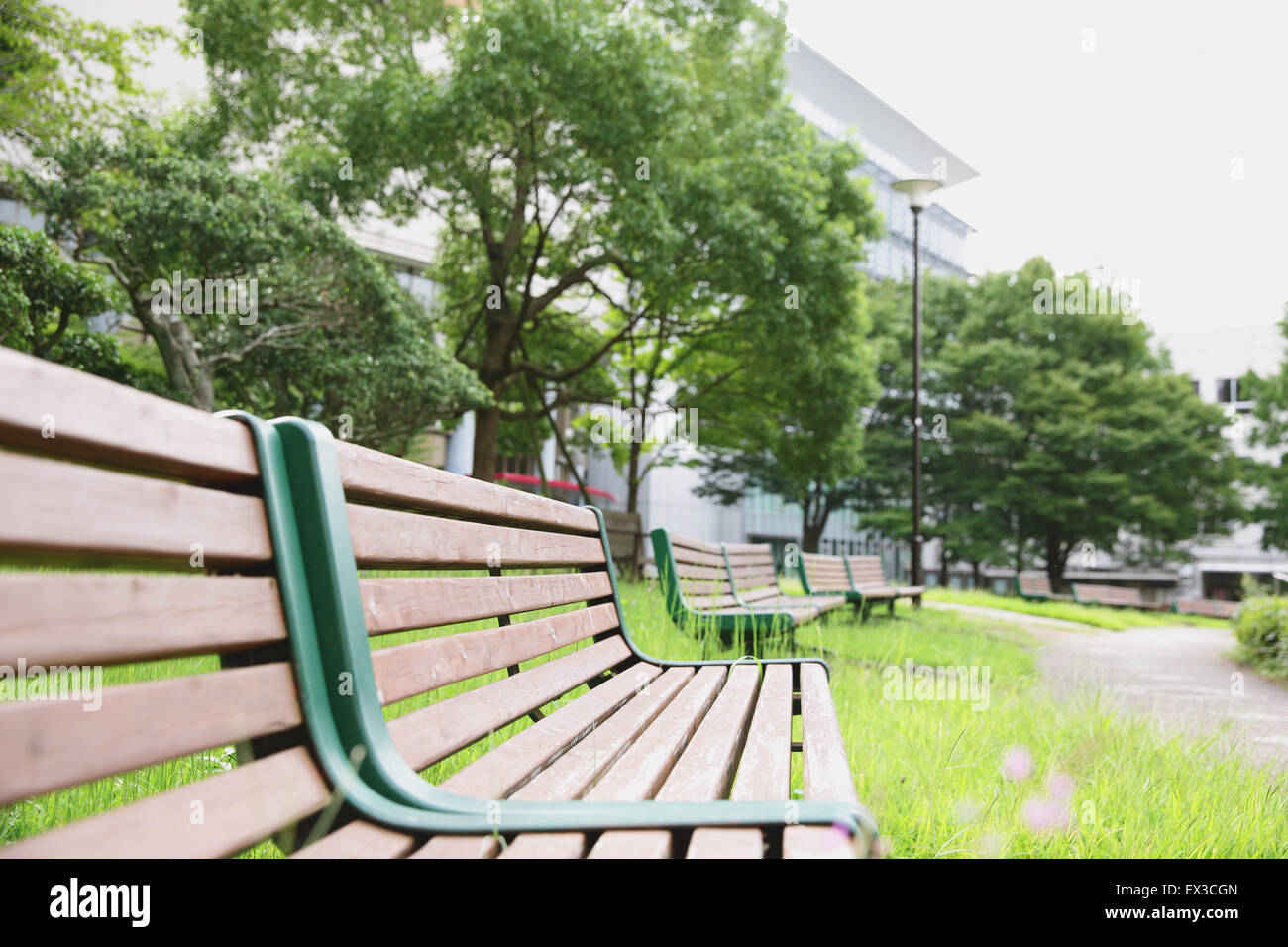 Benches in a park Stock Photo - Alamy