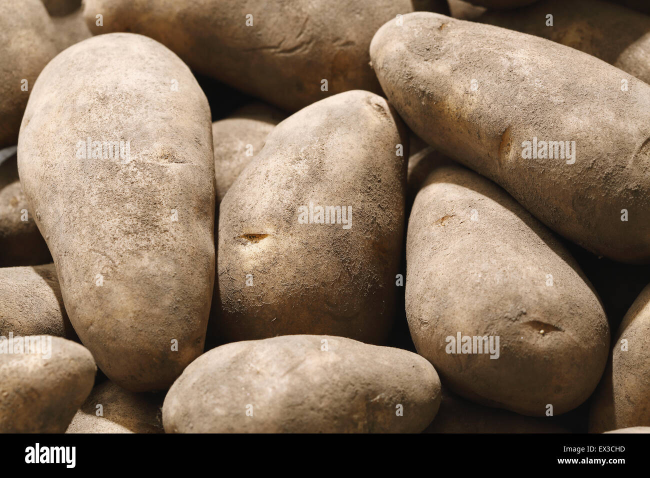 Mudded hi-res stock photography and images - Alamy