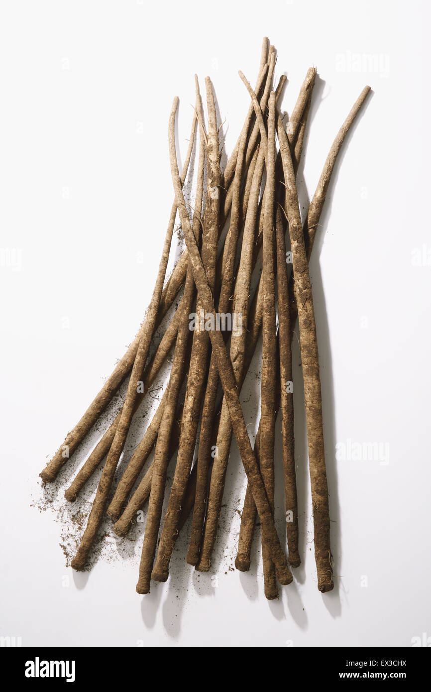 Edible burdock root hi-res stock photography and images - Alamy