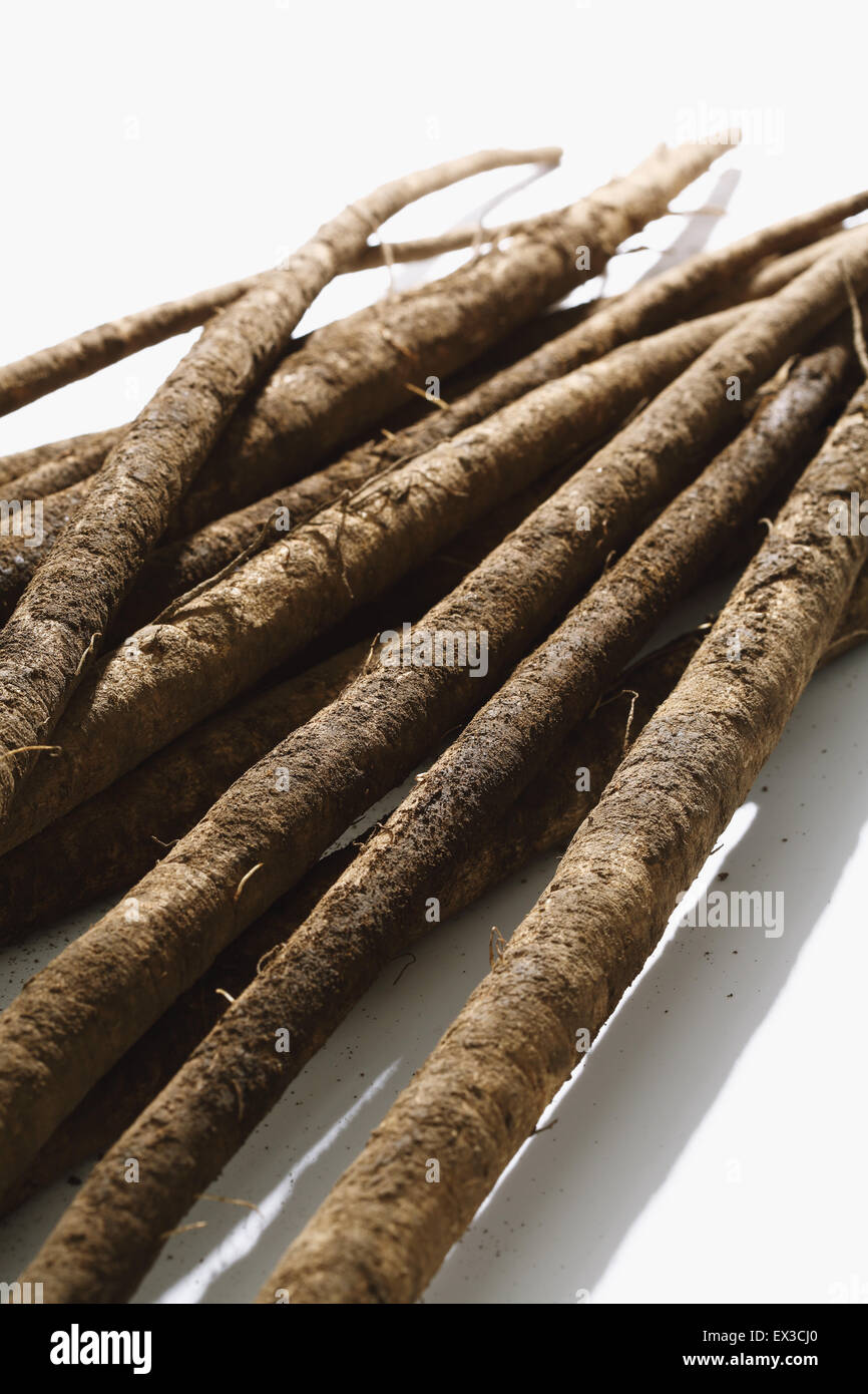 Edible burdock root hi-res stock photography and images - Alamy