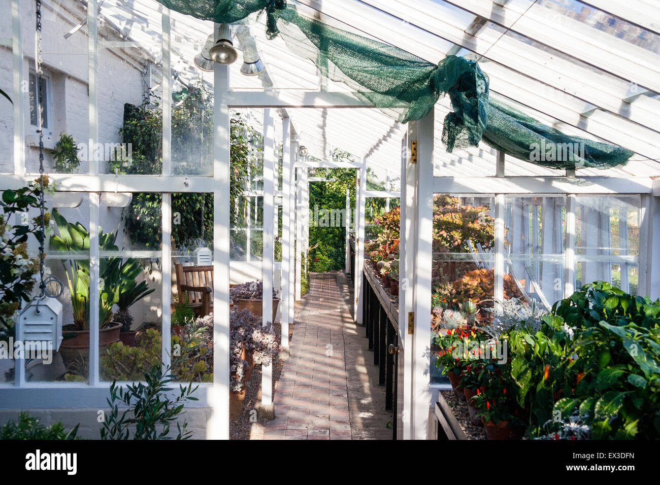 Castle Inside Greenhouse