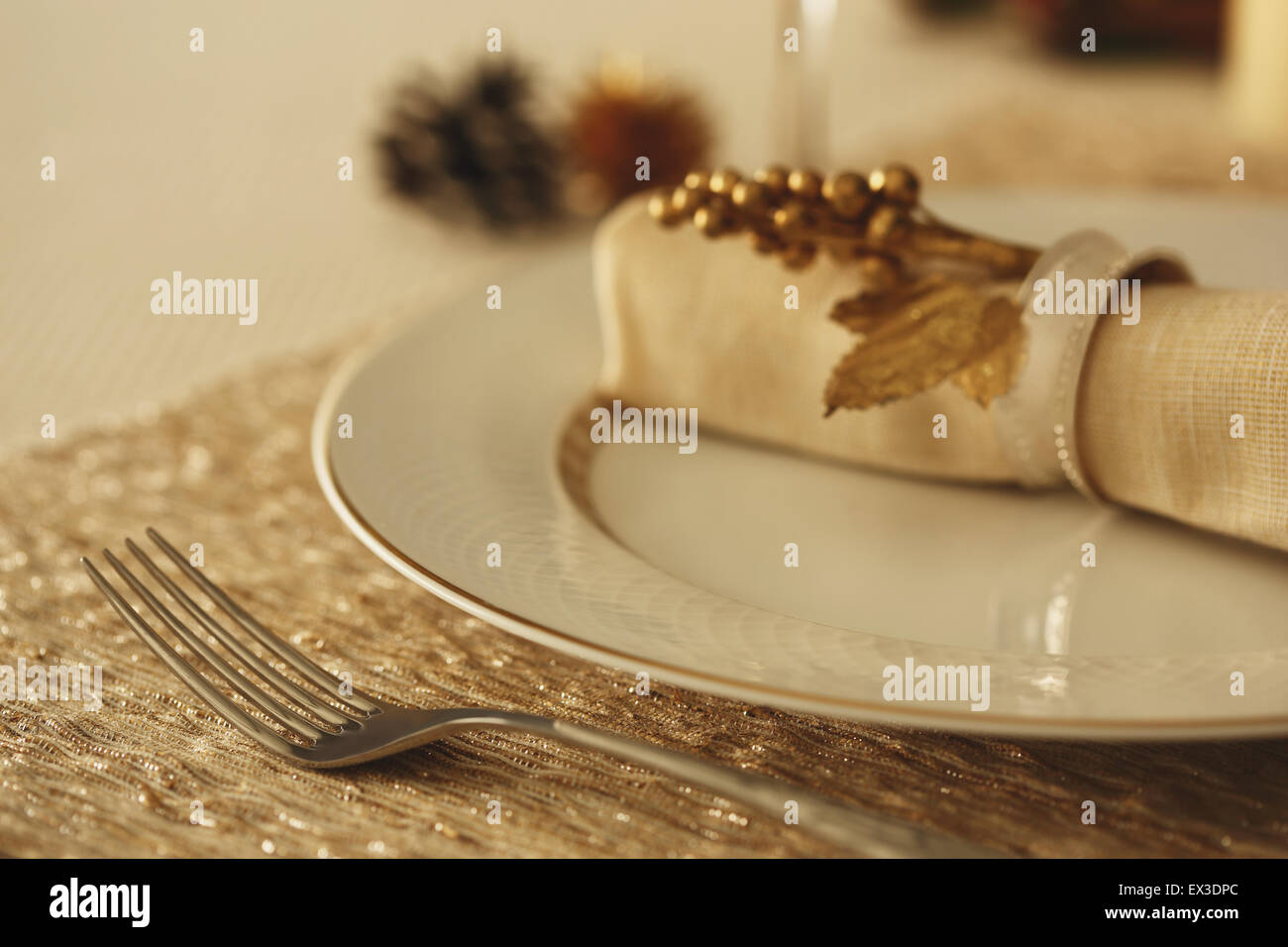 Stylish table setting Stock Photo - Alamy