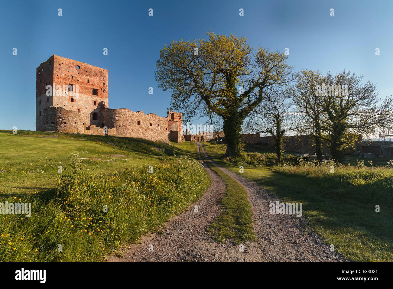 Hammershus, Bornholm, Sandvig, Capital Region of Denmark, Denmark Stock ...