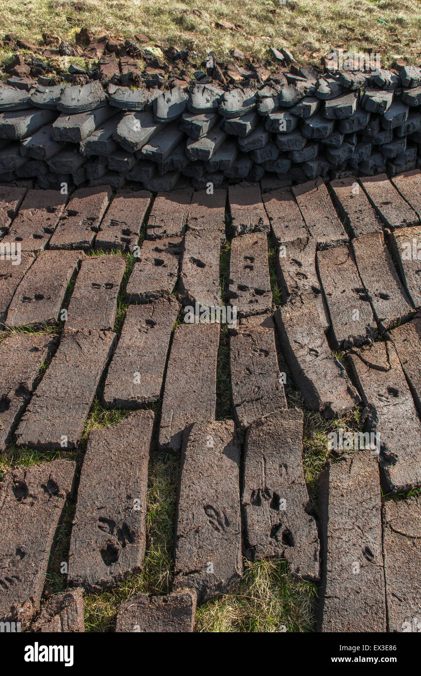Cut peat on a peat bog, Yell, Shetland Islands, Scotland, United ...