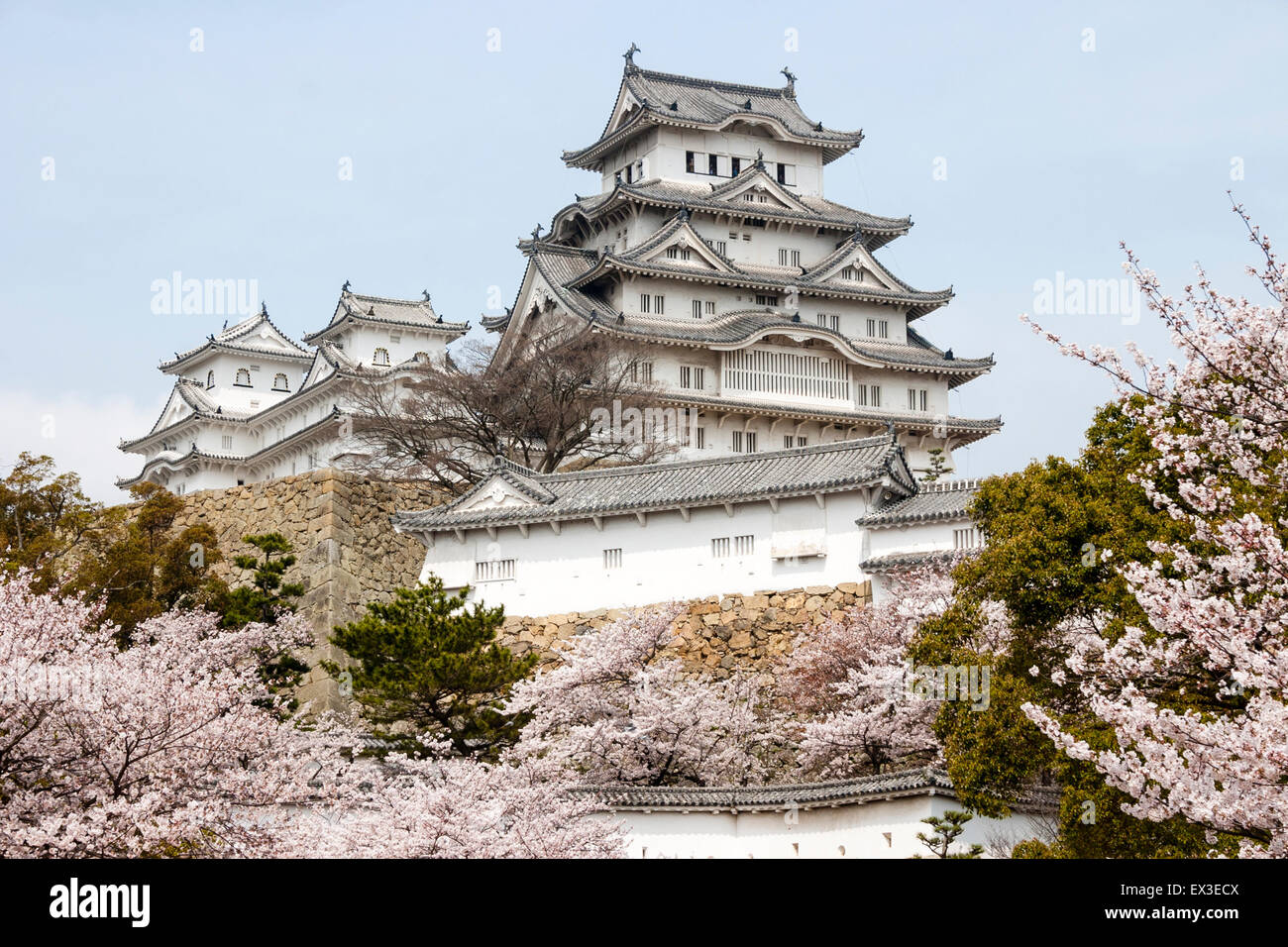 Himeji castle in Japan. Castle keep towering over castle walls and in ...