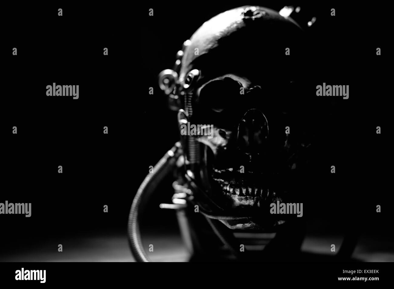 Skull of a human size robot Stock Photo - Alamy
