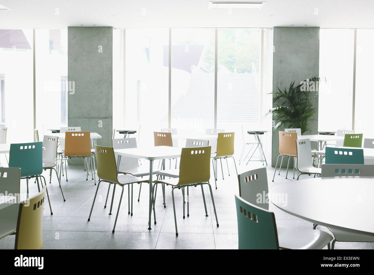 University chair hi-res stock photography and images - Alamy