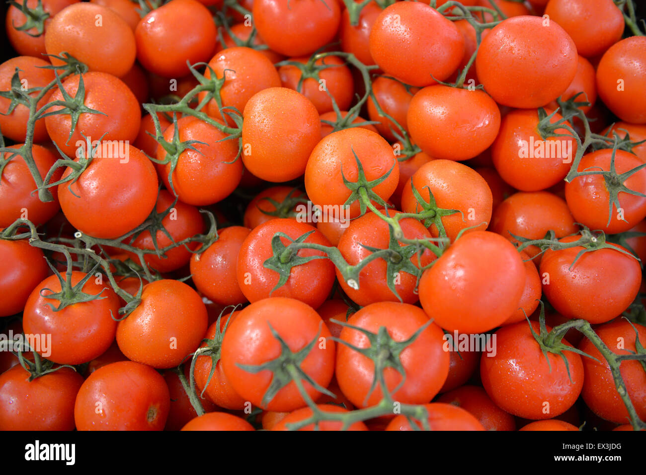 a lot of folded clean red tomatoes with green leafs Stock Photo - Alamy